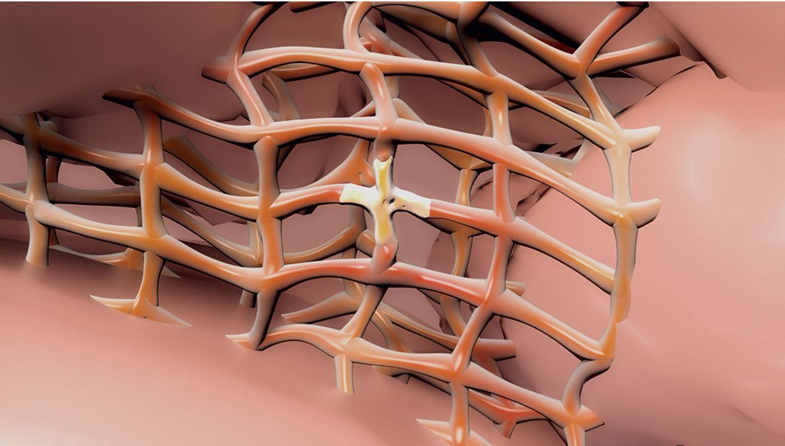 What are Ceramides and their use in skin care – Ceramol International